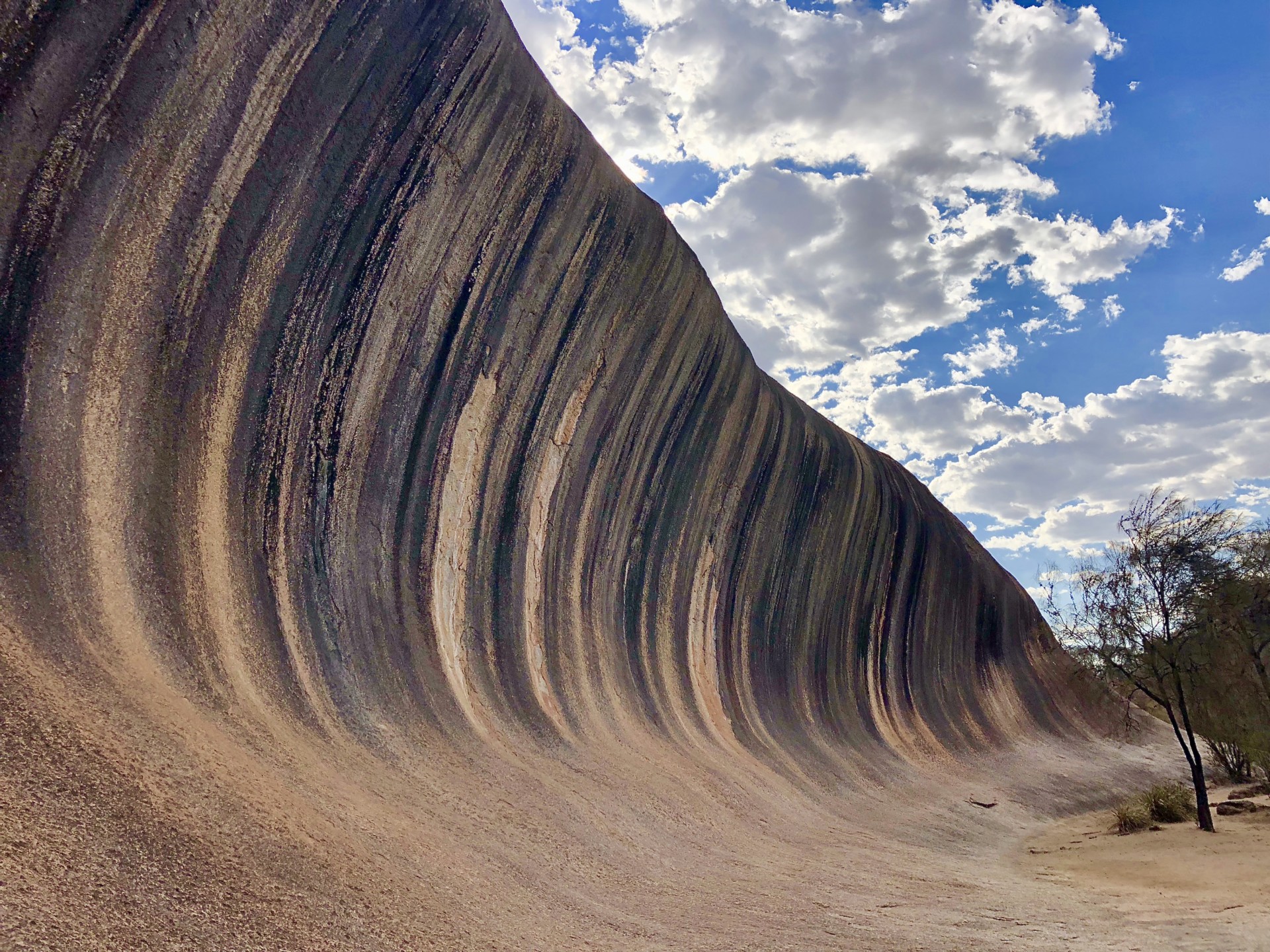 Wunder der Natur › Weltrentner